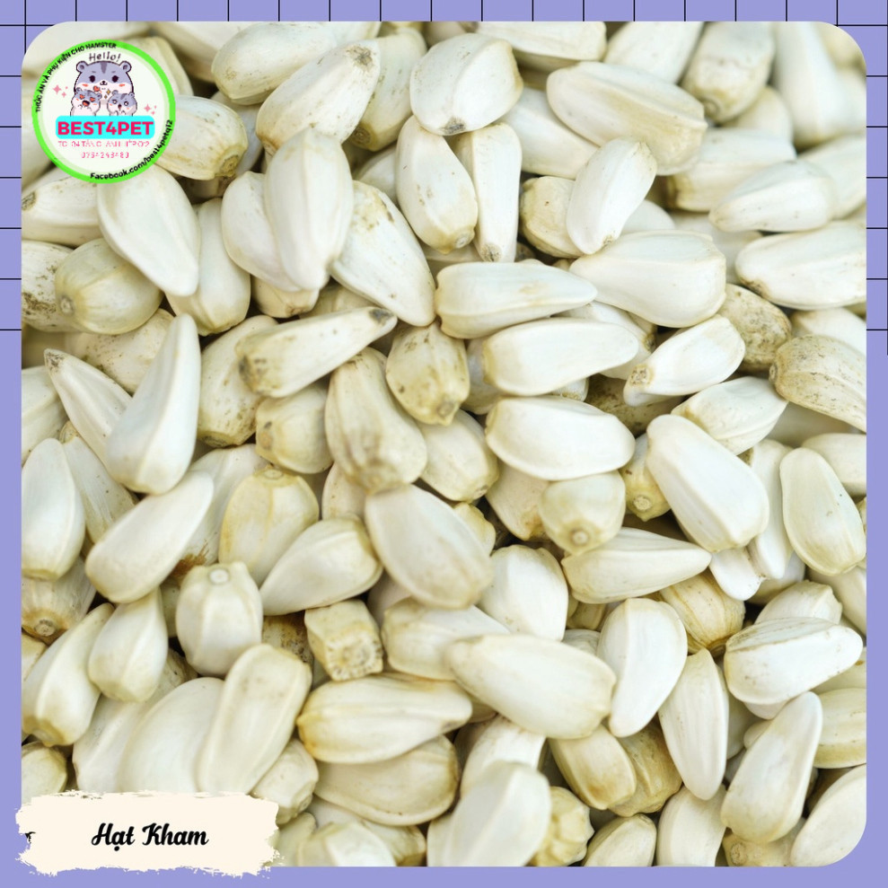 Kham Seeds India hamster Food | Shopee Malaysia