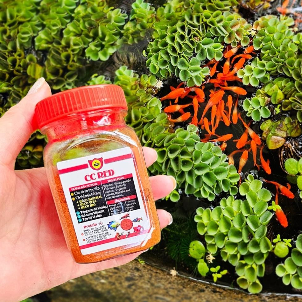 Cc Red Bran - Premium Food For 7 Colors Guppy Betta And Many Other ...