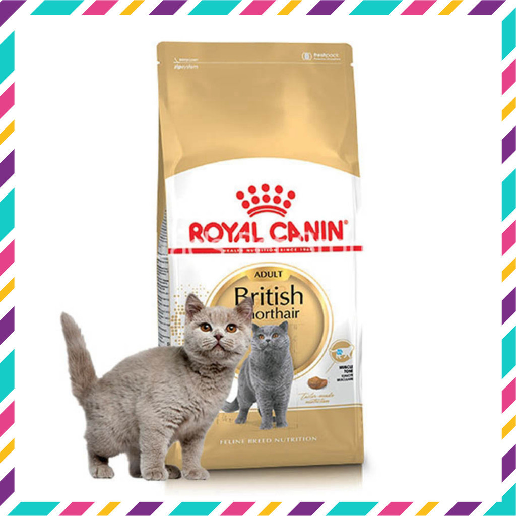 Royal Canin British Shorthair dry cat food for British Shorthair 400gr ...
