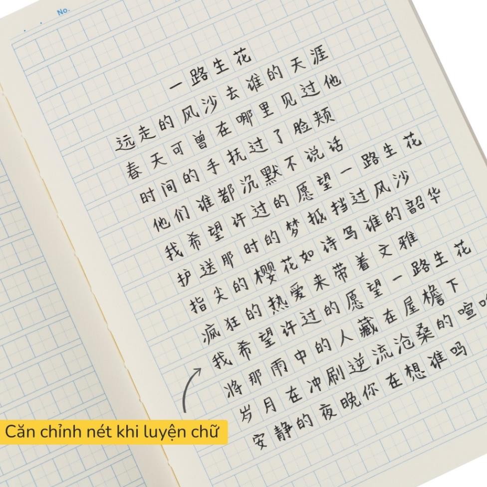 Caro notebook sewn and glued at the spine to practice writing Chinese ...