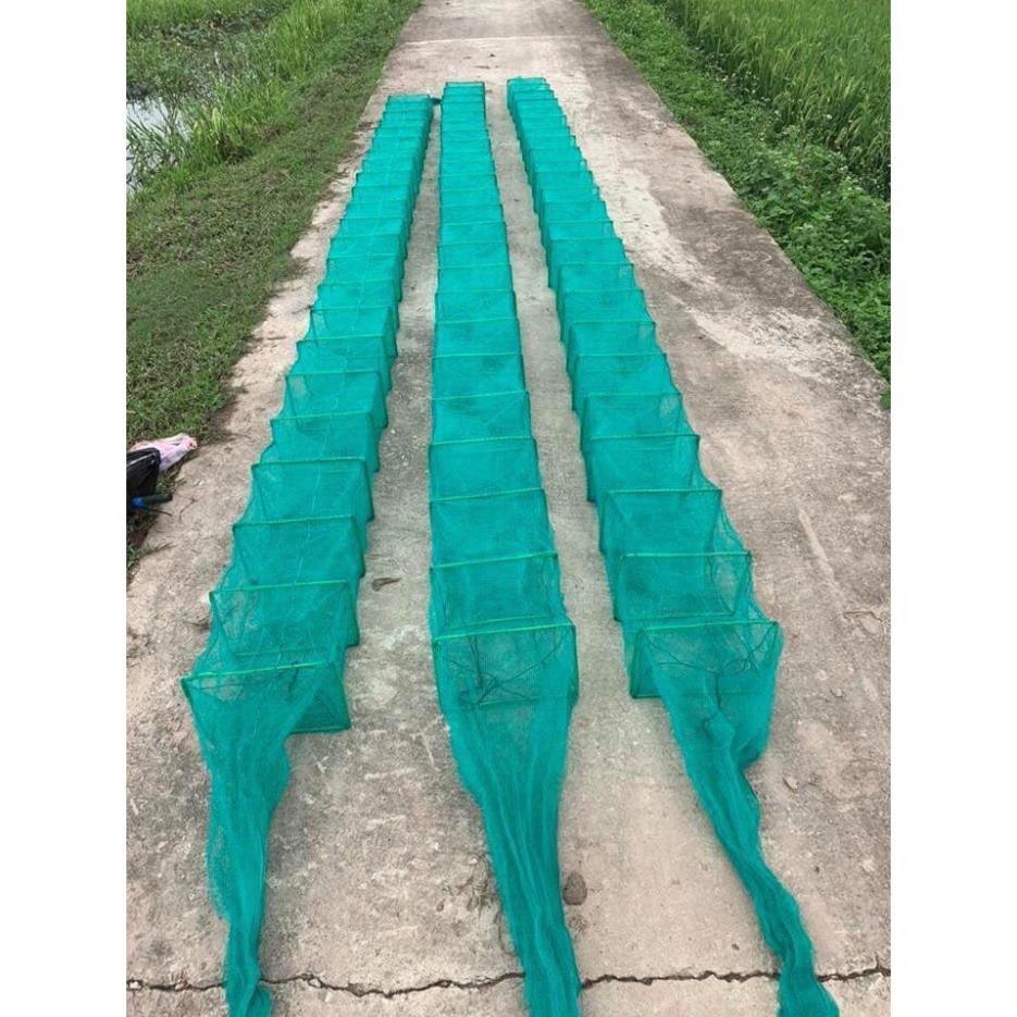 Bagua Cage Net Used to Catch Shrimp, Crab, Eel Trach of All Sizes for ...