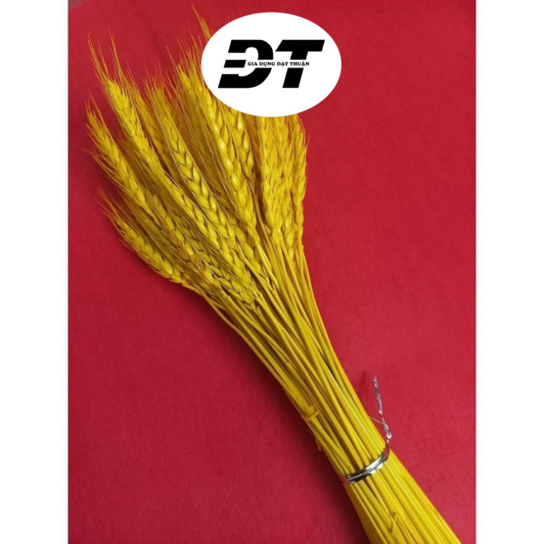 Decorative golden barley flowers (bundle of 100) | Shopee Malaysia