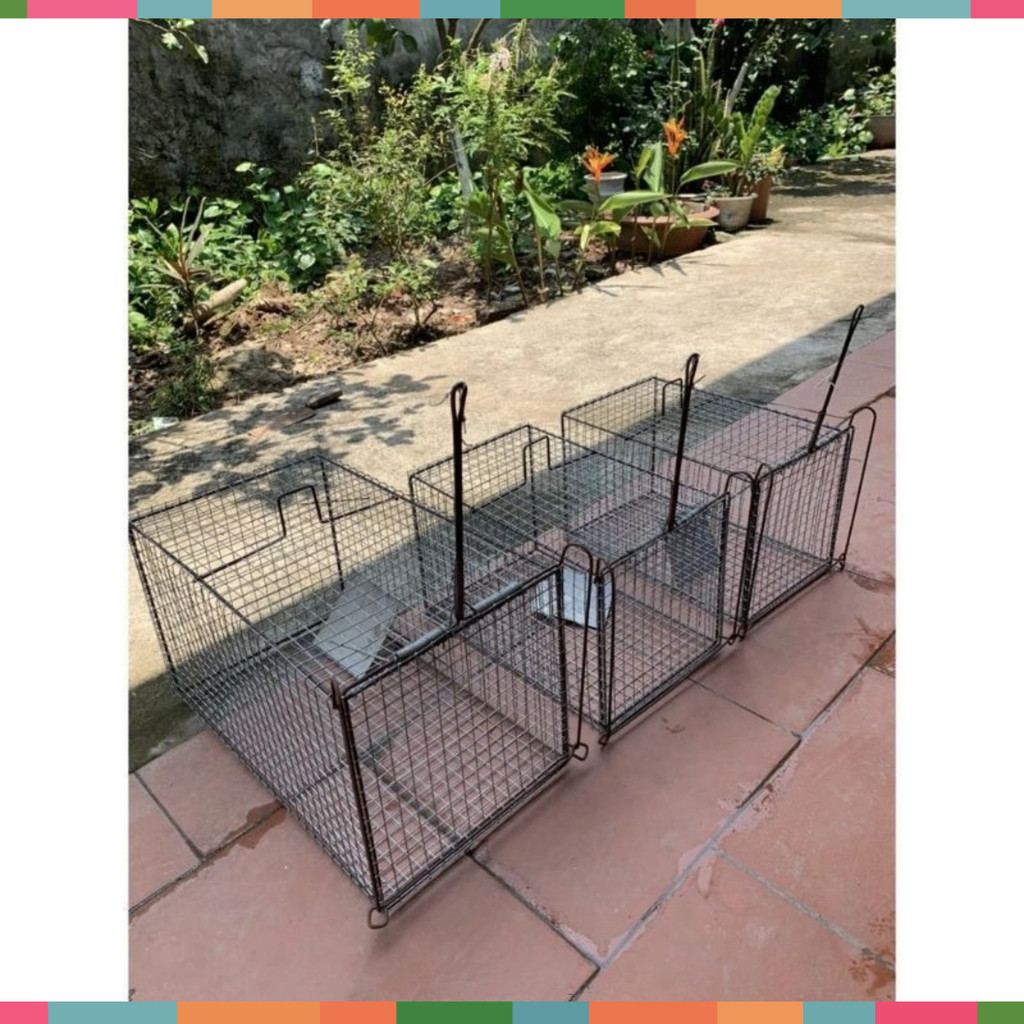 [TYPE 1] Multi-purpose Animal Trap Cage (width 30×50cm) Royal Cat Trap ...