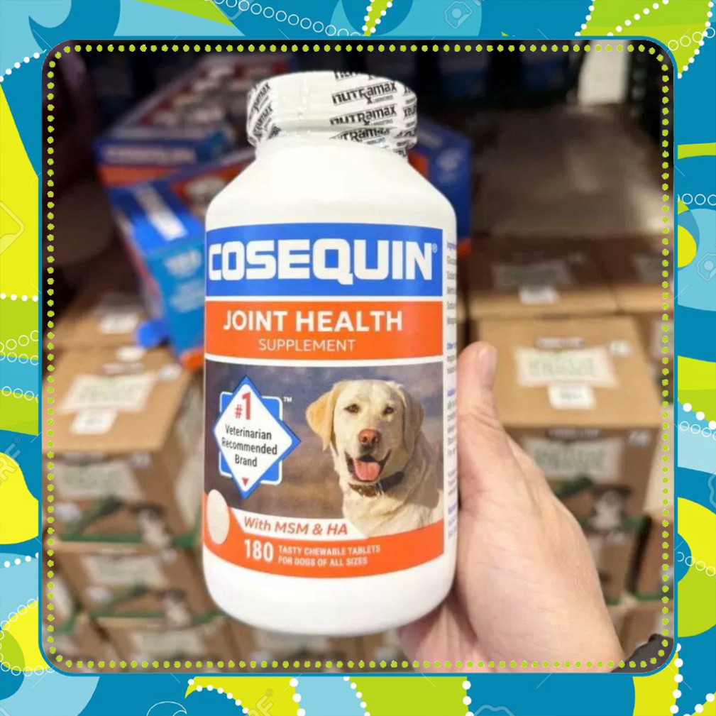 Odd 01 chewable tablet to support bones and joints for dogs - Joint ...