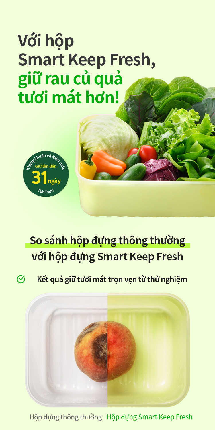 LocknLock Smart Keep Fresh food container keeps food Fresh for up to 31 days | Shopee Malaysia