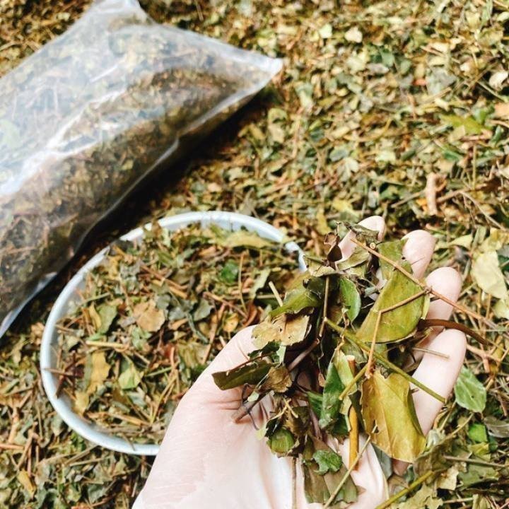 [New Model] Dried green tea 300G helps lose weight and slow down milk ...