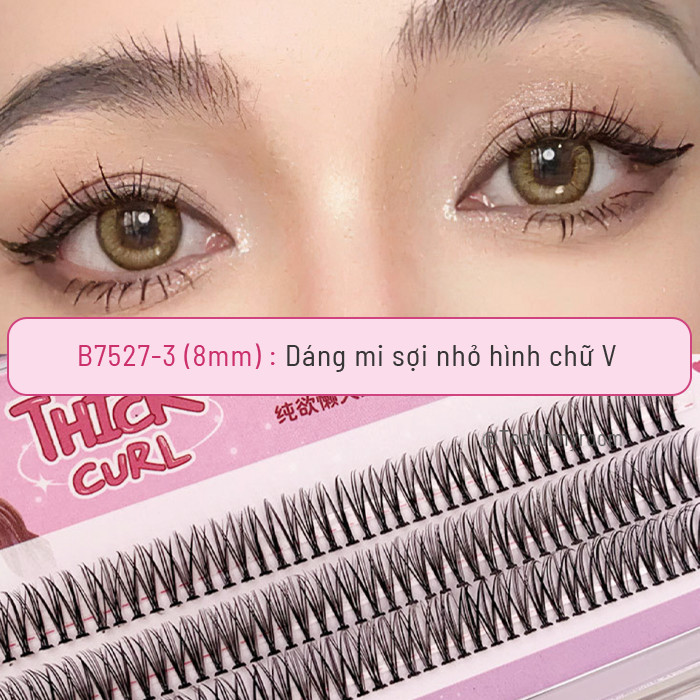 TMR Eyelash Long Cluster False Eyelashes Clear Natural Effect BQI Long ...