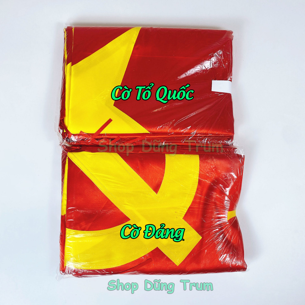 SA Party flag made of satin fabric, good sun and rain resistance, full ...