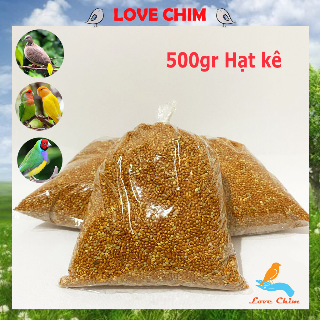 Millet seeds for cuckoos, budgies, parrots 500gr red and yellow millet ...