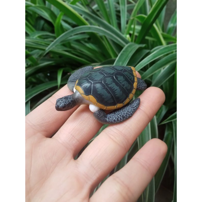Sea Turtle Model With Movement Joints Genuine Tomy (nobox) | Shopee ...