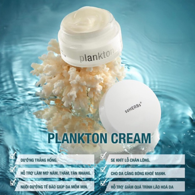 Plankton mini face Cream 10ml White Skin, Matte Slingshotm ...