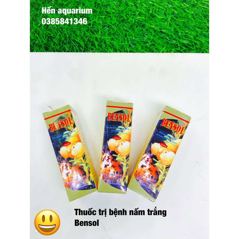 Bensol medicine to treat fungal diseases for ornamental fish (30 ml ...