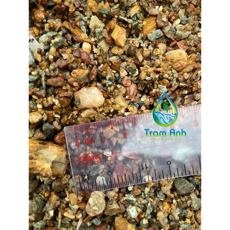 Five-color Stream Hotel - Natural Gravel Covered With Aquatic ...