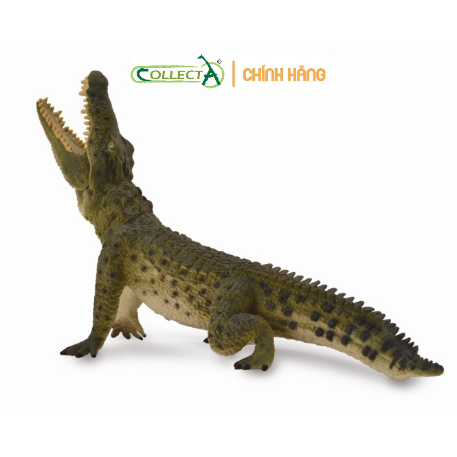Animal model: Nin River Crocodile (Genuine) | Shopee Malaysia