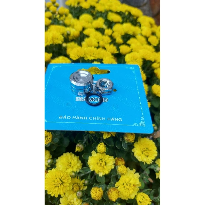 Honda Wave Dream Future digital car pot adjustment screw | Shopee Malaysia