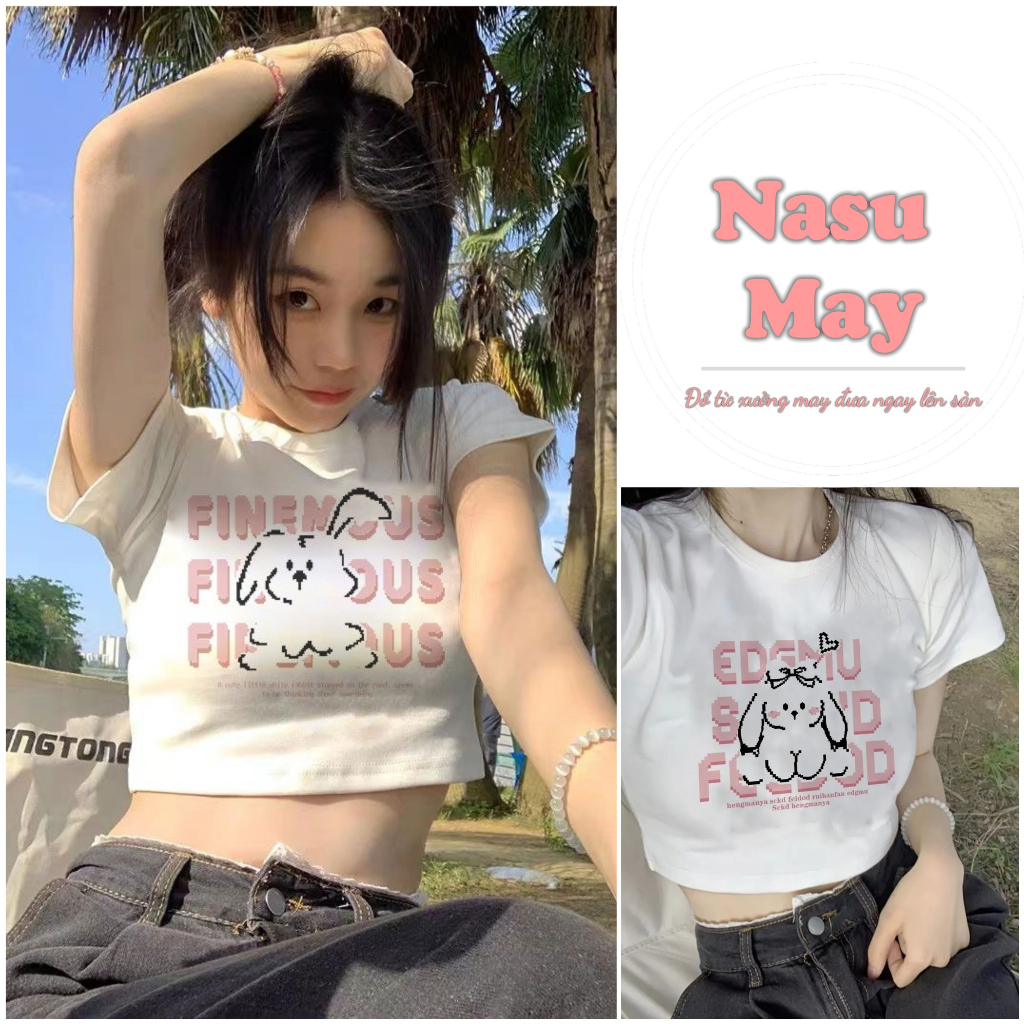 Lovely finemous rabbit crop top, short sleeves, round neck, body ...