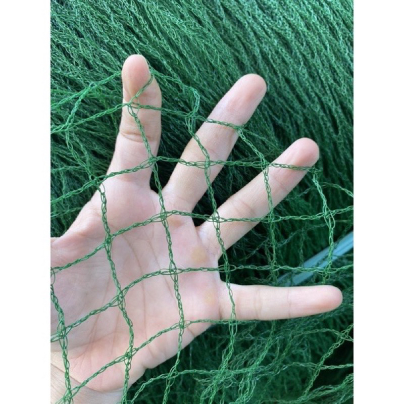 Green wire net, trellis net, 2 meter high chicken and duck fence net ...