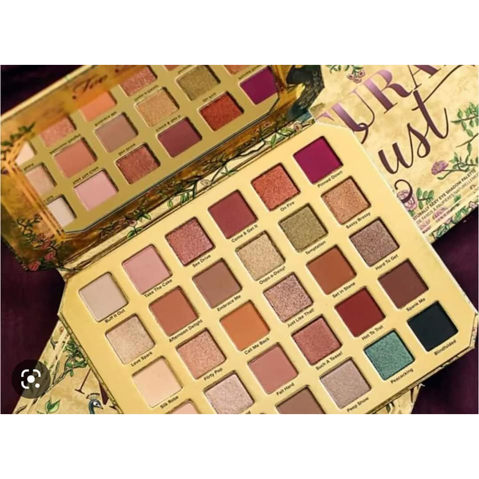 Too faced 30-panel eye palette(470) | Shopee Malaysia