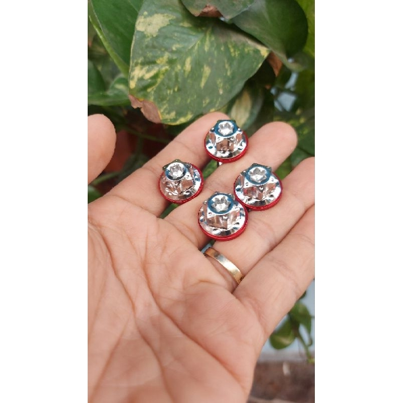 Combo of 4 8li25 Salaya screws with a red dragon temple attached to the ...