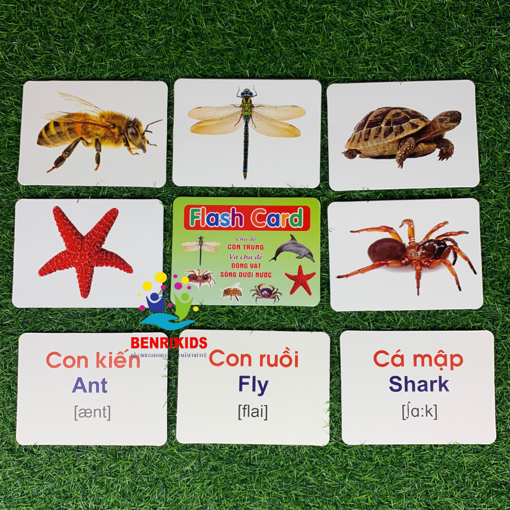 Bilingual Learning Cards Themed Insects and Water Animals for Children ...