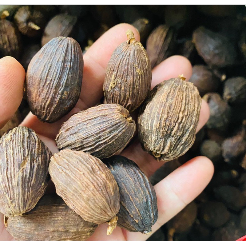 Large Cardamom 1kg (Class 1 Goods, Old Seeds, Firm Seeds) | Shopee Malaysia