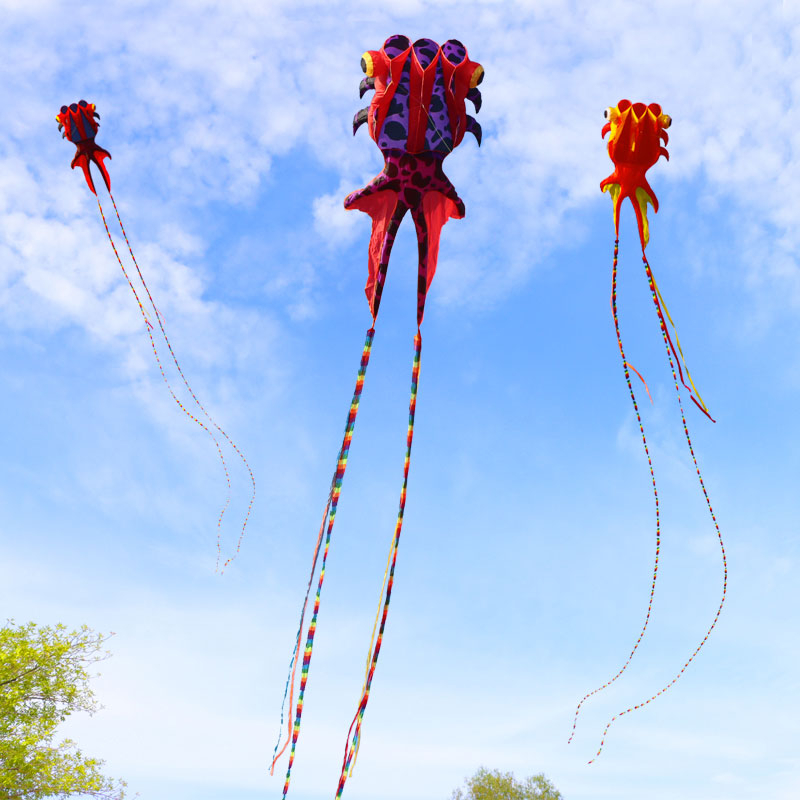 3d fish aerodynamic kite with 20 meter long tail | Shopee Malaysia