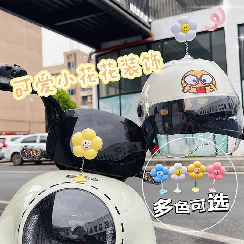 Beautiful helmet flower | Shopee Malaysia