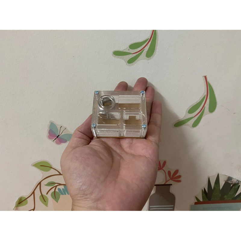 Ant tank queen Nourishing tank mini tank Ant Nest queen Ant Nest ...