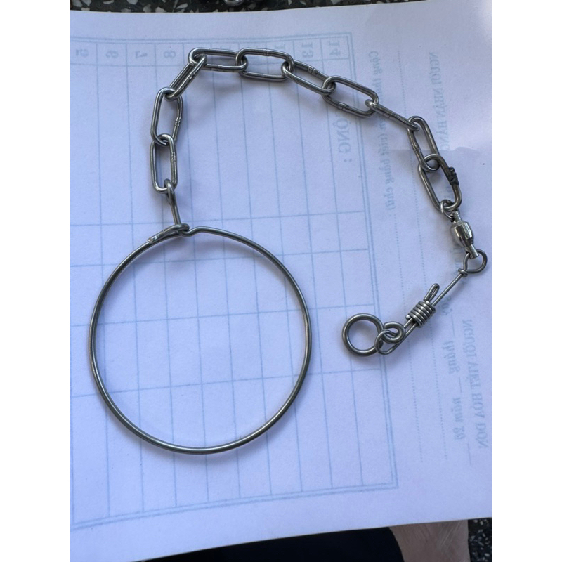 Pink-breasted parrot leg chain | Shopee Malaysia