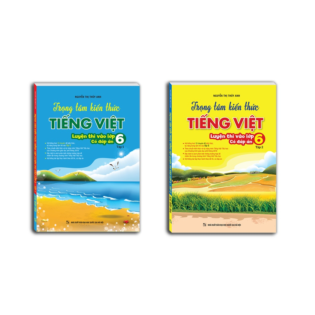 Book - Combo 2c - Focus on Vietnamese knowledge (6th grade entrance ...