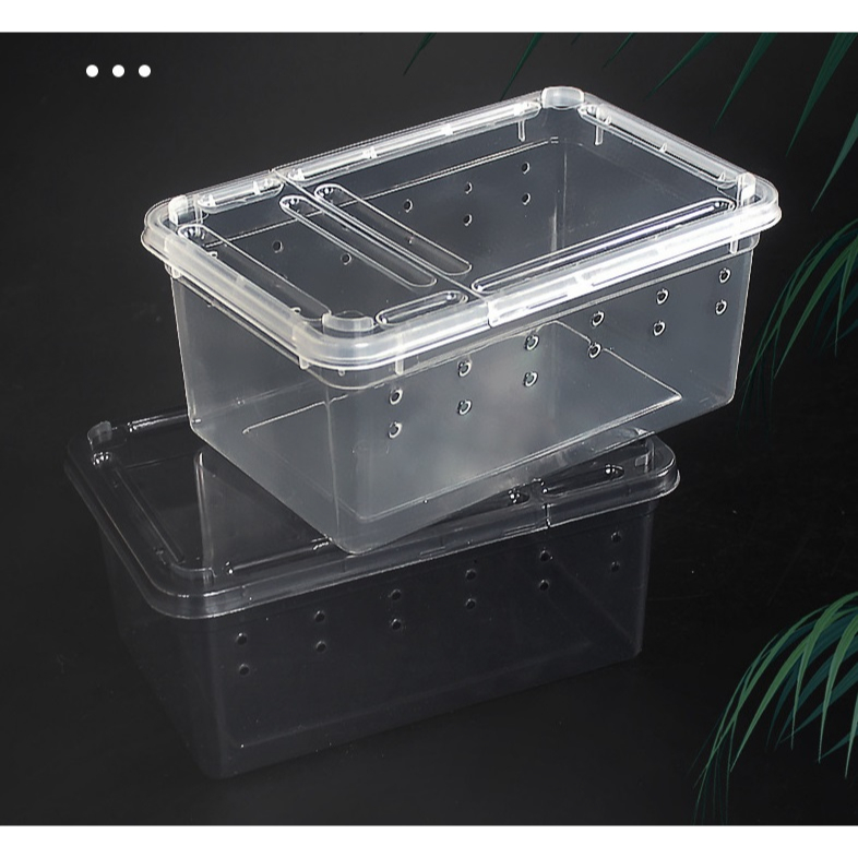 Reptile box with lid. Tank for Spiders, Scorpions, Turtles, Rats, Frogs ...