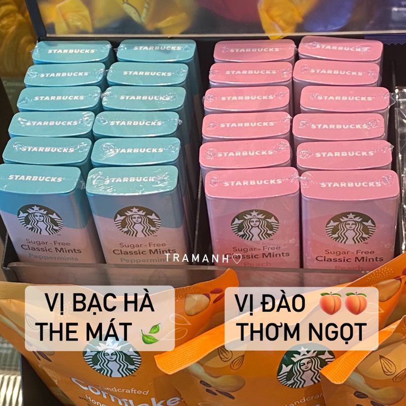[Cheaper Than Store] STARBUCKS BOX 12 BOXES OF SUGAR-FREE CANDY MINT ...