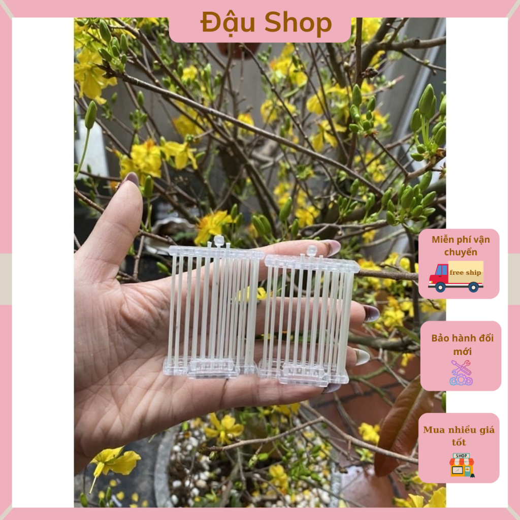 Locust basket with 5 cricket baskets for internal and external crests ...