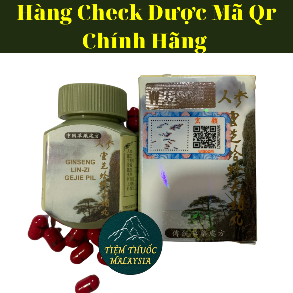 Weight Gain - GinSeng Lin – Zi Gejie Pil – GinSeng Ganoderma Tonic 30 ...