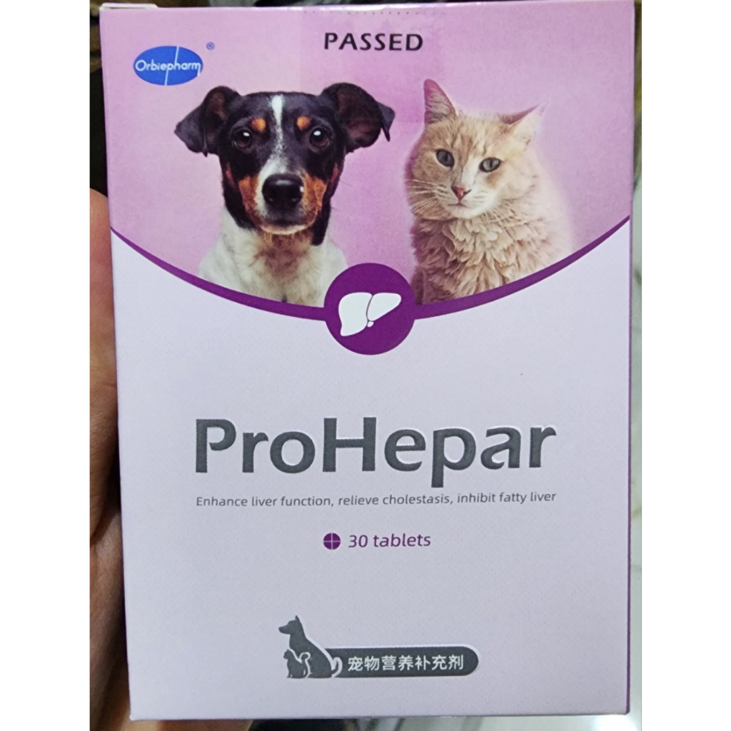 [1 Box] LIVER SUPPLEMENT - SUPPORT FOR TREATMENT OF LIVER DISEASE FOR ...