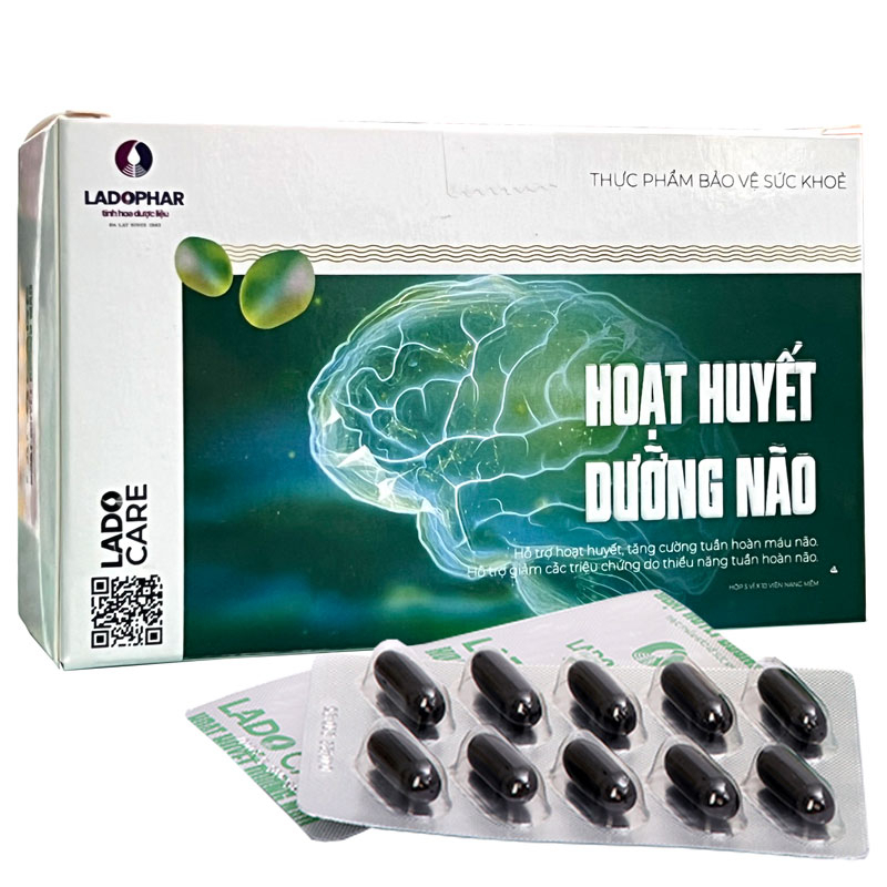 Ladophar Brain Nourishing Blood Supplement, supports increased cerebral ...