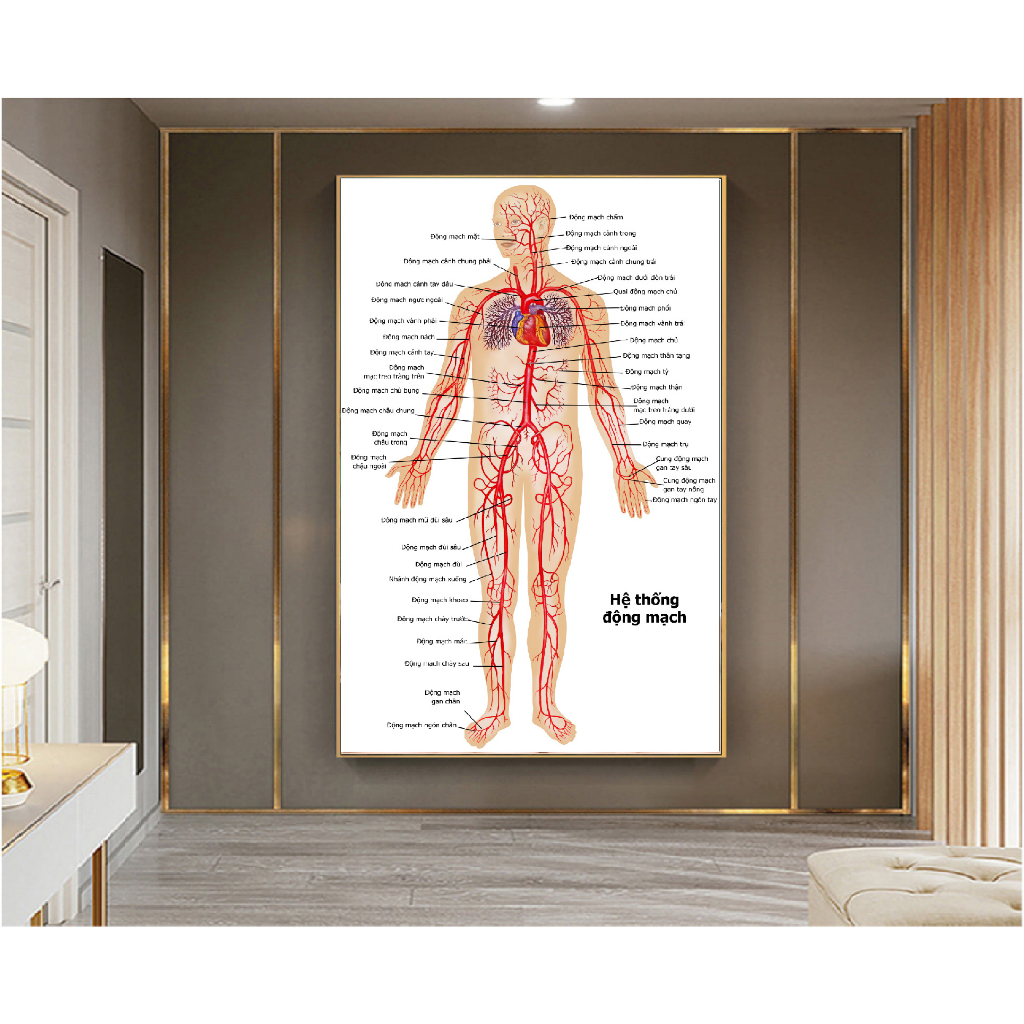 Picture frame for anatomy of the body, bones, joints, acupuncture ...