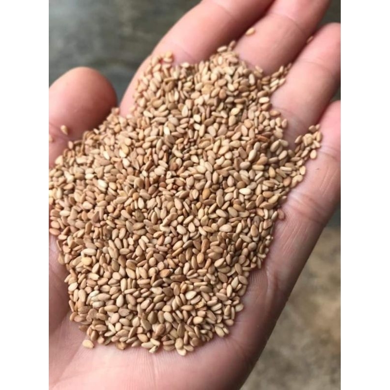 Delicious Vietnamese yellow sesame seeds 1kg | Shopee Malaysia