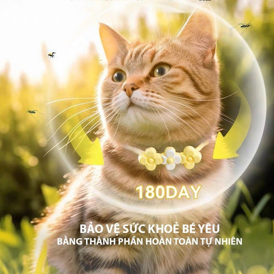 Anti-tick collar for dogs and cats made of TPU material and completely ...