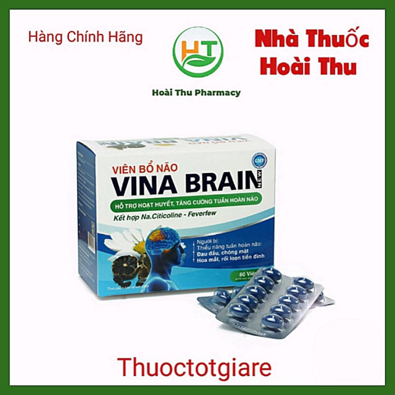 VINA BRAIN new BRAIN Supplement - Supports blood circulation, enhances ...