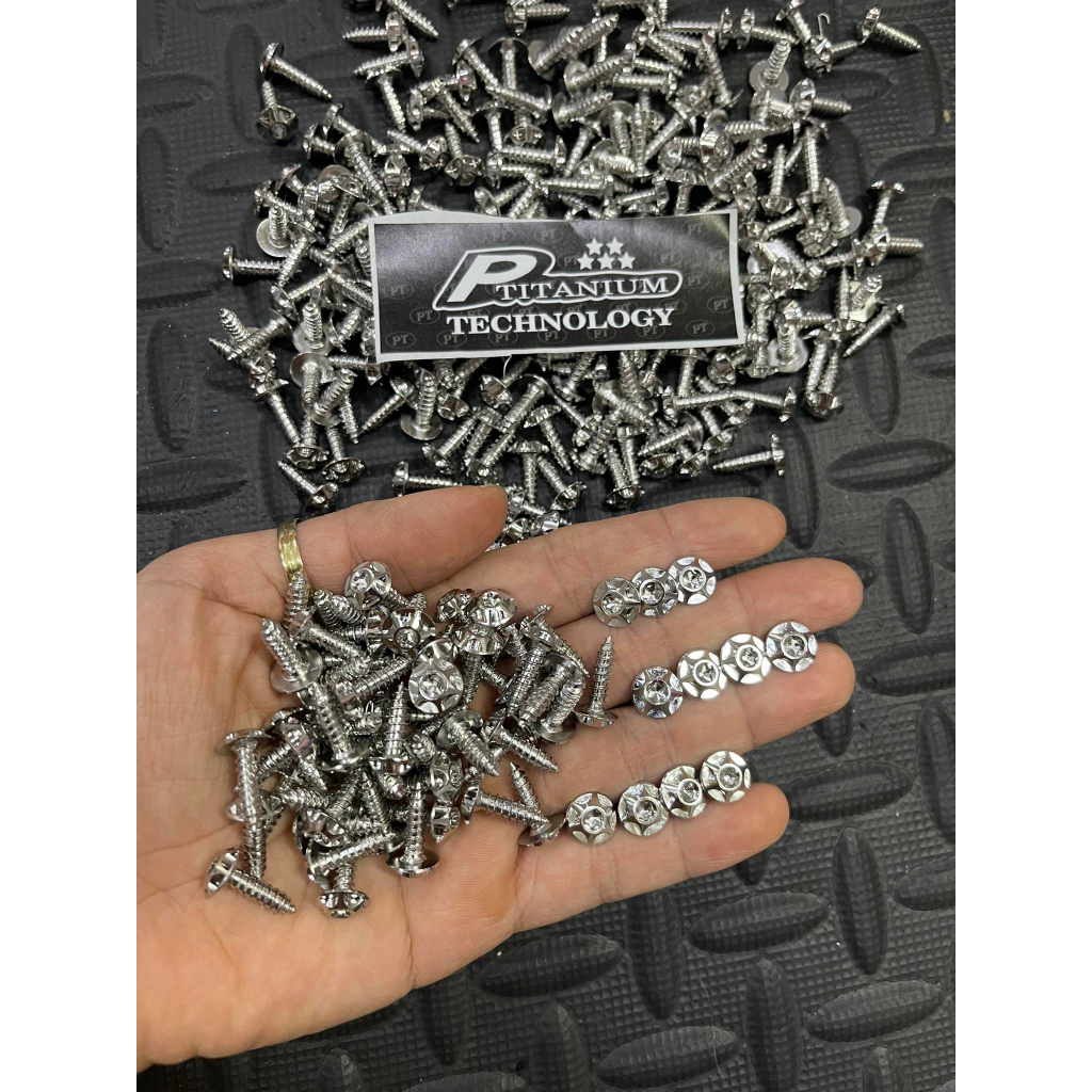 Salaya Stainless Steel 304 4mm twisted screws Star Model, Model V2 ...