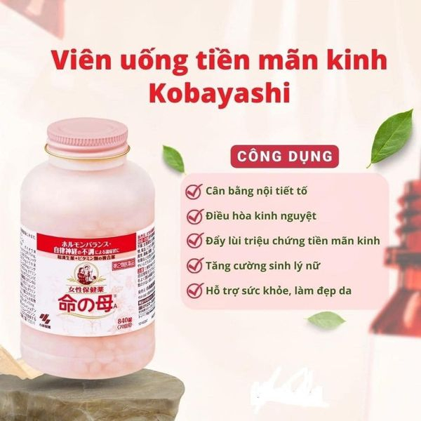 Kobayashi Pre-Menopausal Oral Tablet 840 Japanese Tablets | Shopee Malaysia