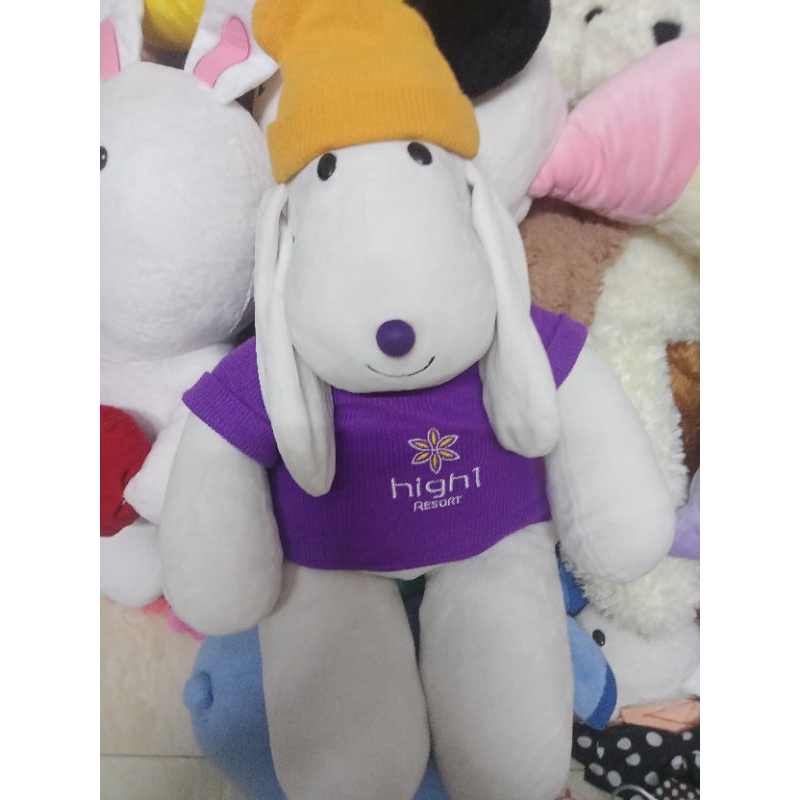 Miniso teddy bear size 60-70cm | Shopee Malaysia