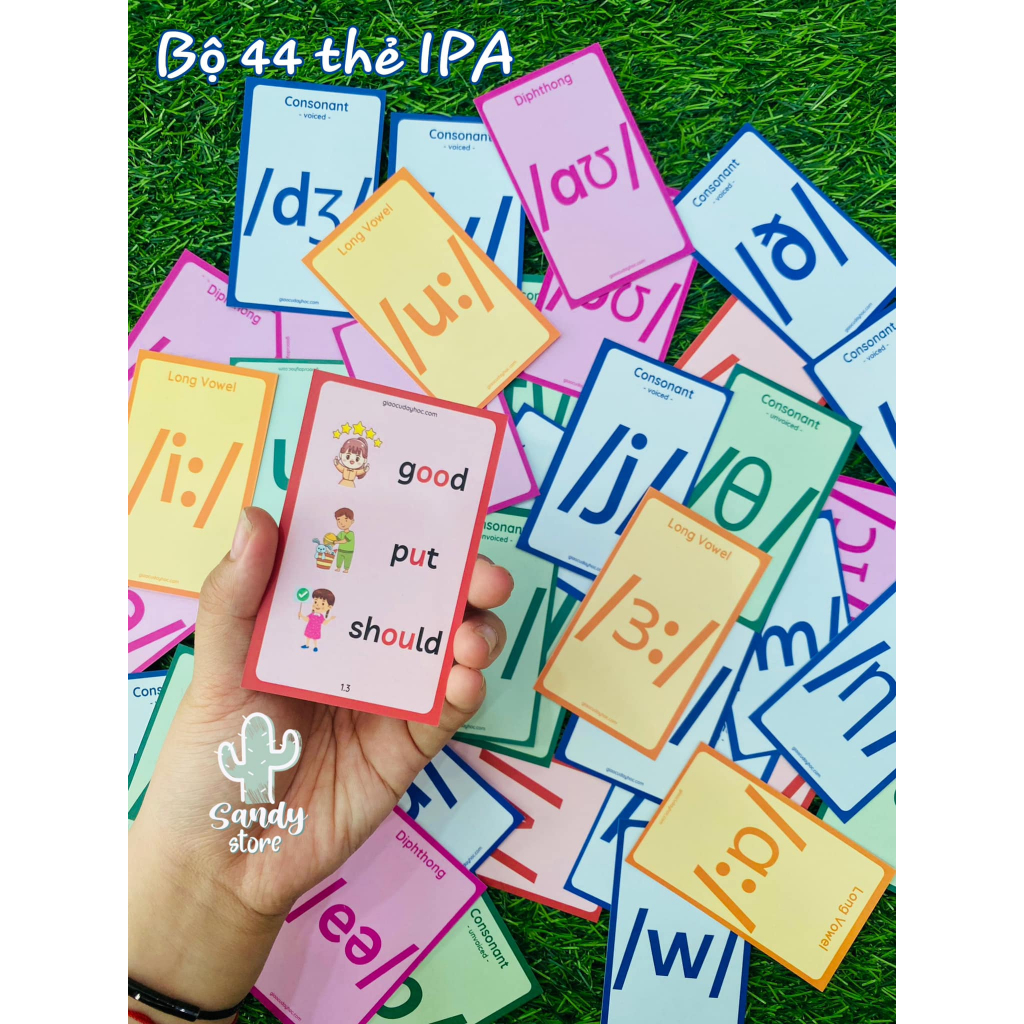 Set of 44 IPA phonetic cards (Basic Size) | Shopee Malaysia