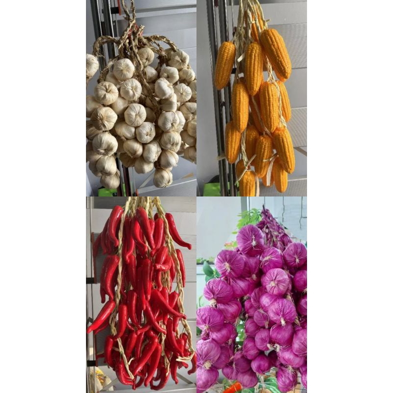 Decorative string of garlic, onion, corn and chili agricultural ...