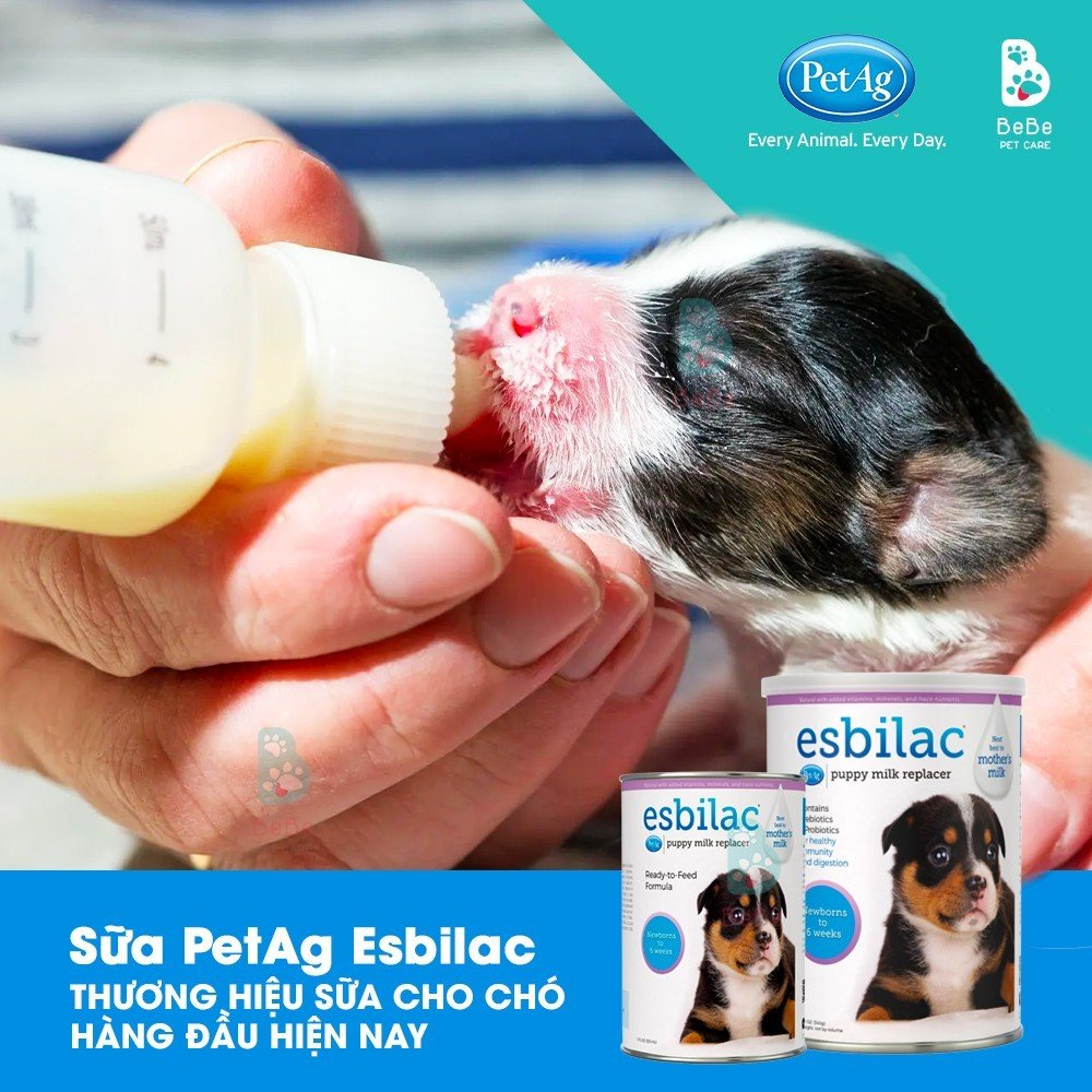 Esbilac Pet Ag Milk - Ready-to-Drink Liquid Milk & Premium Powdered ...