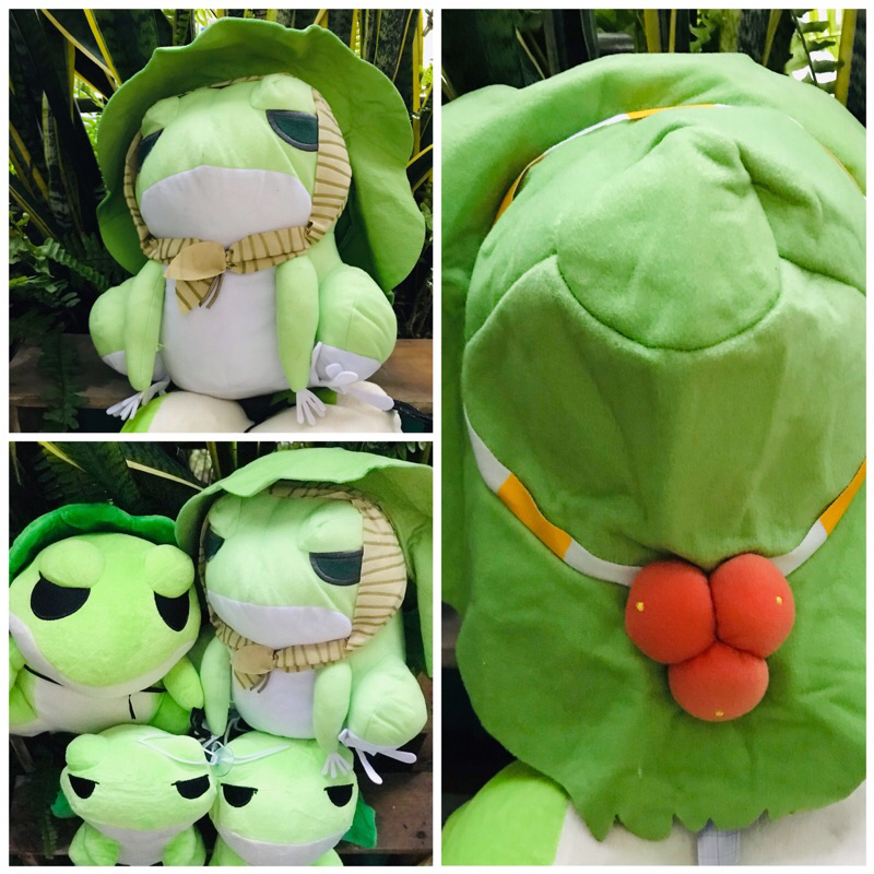 Green FROG TEDDY BEAR MODELS FOR KIDS (2HAND) | Shopee Malaysia
