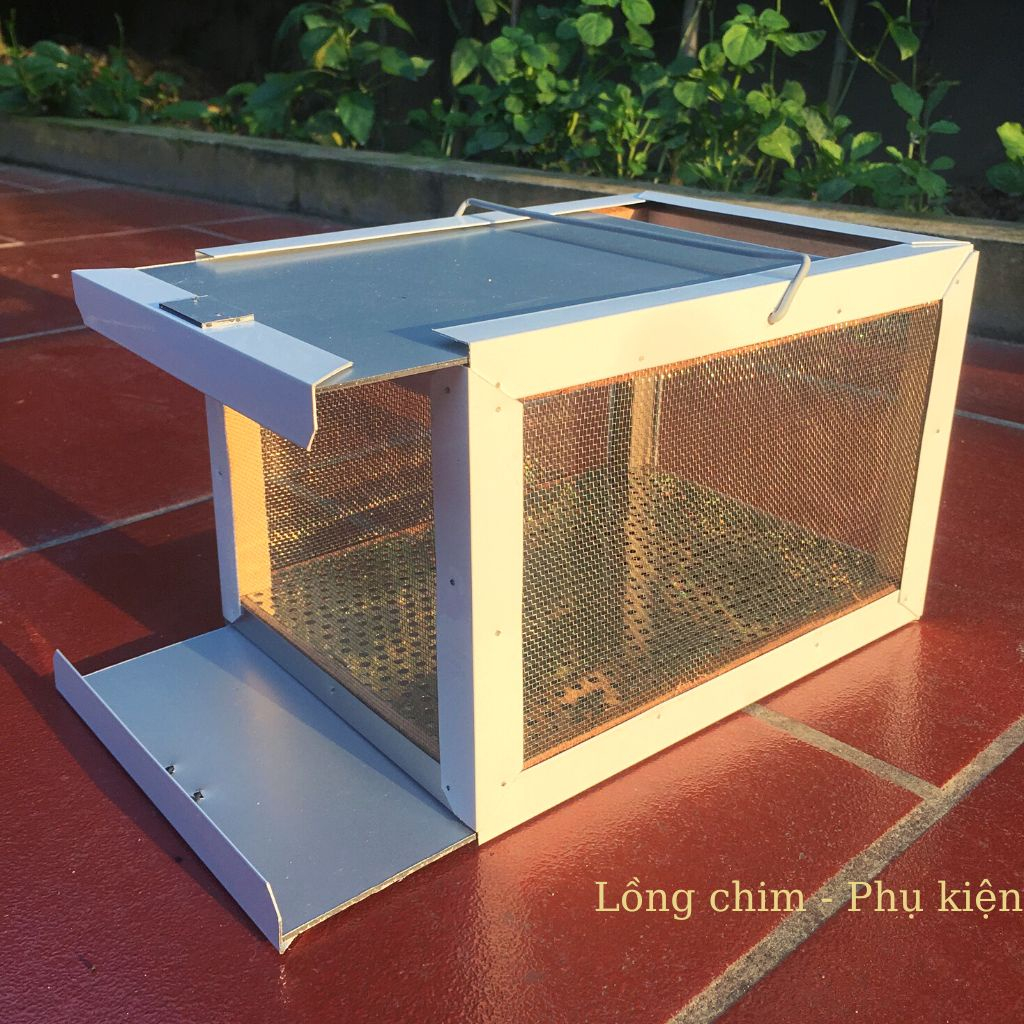 Cricket box, locust for birds, convenient grasshopper box | Shopee Malaysia