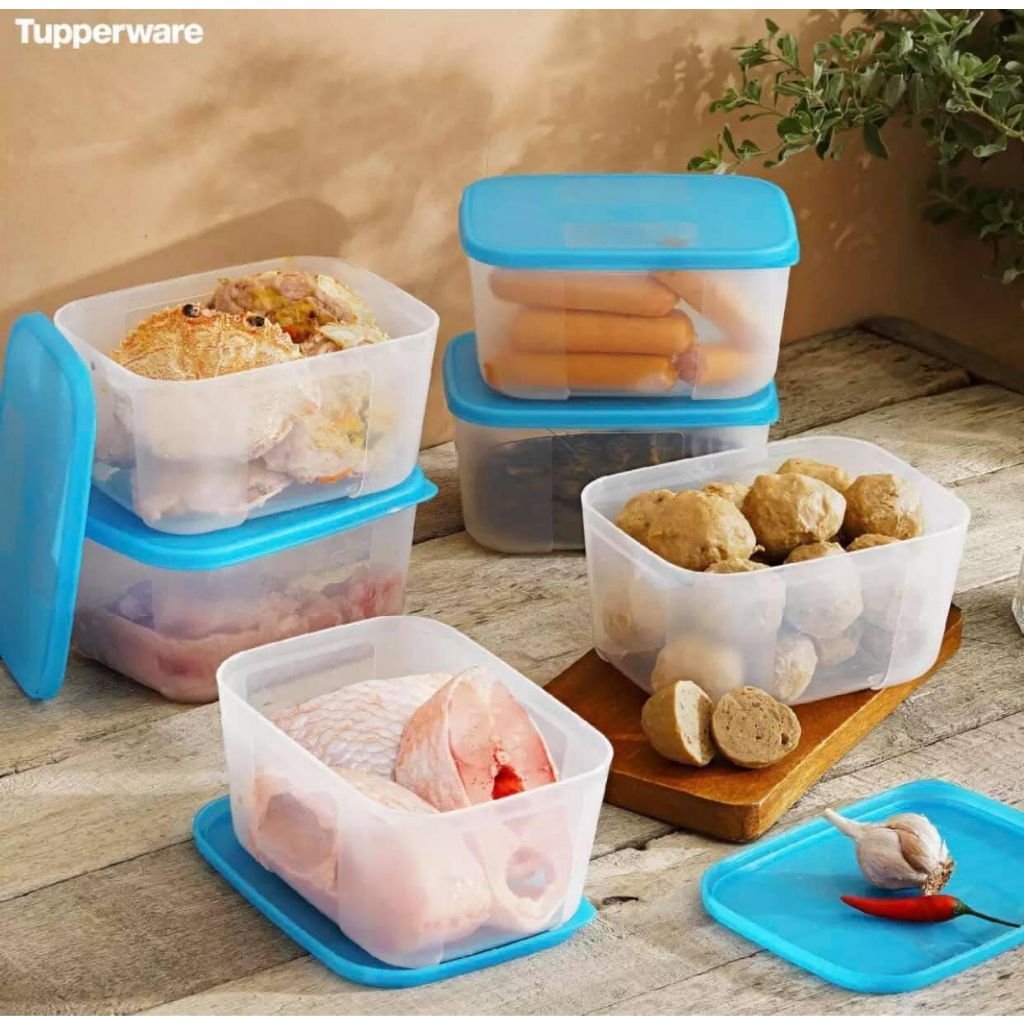Genuine Vietnamese Tupperware - 650ml freezer box | Shopee Malaysia