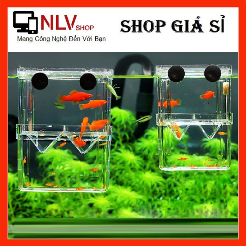 Spawning tray, breeding cage for ornamental fish, 7-color fish, guppy ...